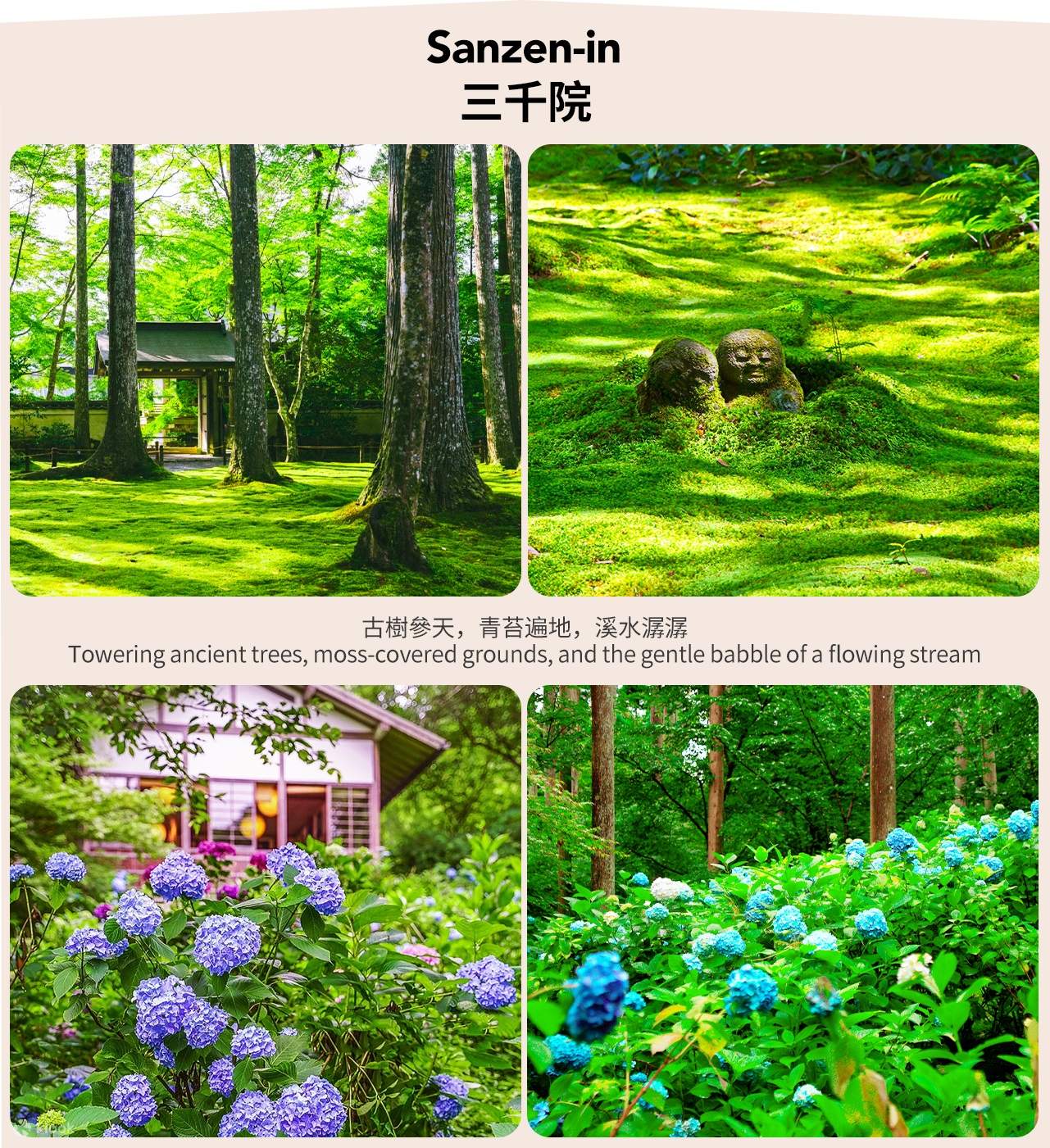 [Kyoto] Tour di un giorno al tempio Sanzen-in, al santuario Kifune, al ...